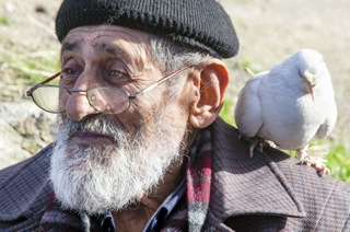 Sunday Reflection with Fr Robin Gibbons: October 29th 2017 | ICN