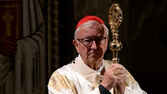 Cardinal calls faithful to pray for peace in the Holy Land | ICN